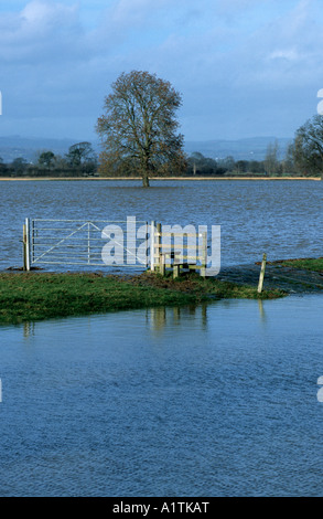 Inondation de la plaine inondable de la rivière Severn, au sud de ...