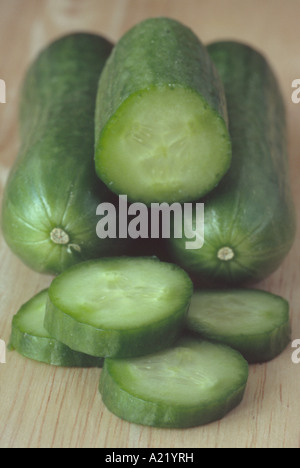 Cucumis sativus 'Cucino" (concombre) F1 hybride toutes les mini ...