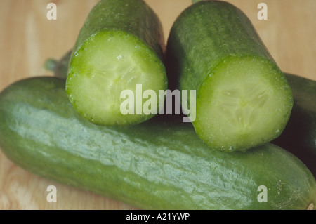 Cucumis sativus 'Cucino" (concombre) F1 hybride toutes les mini ...