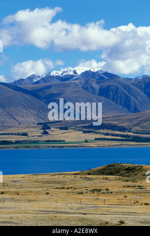 Vue ouest sur le lac Tekapo vers les Alpes du Sud Mackenzie Country ...