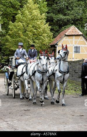 Trotteur Orlov Orlow Traber Photo Stock - Alamy