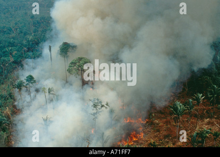 Amazonie, Brésil. La forêt tropicale en feu pour défricher des terres ...