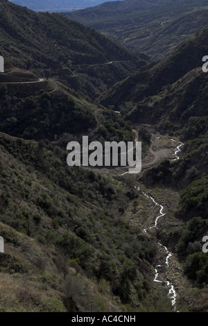 Sespe Condor dans le sanctuaire de la Forêt Nationale los Padres Photo ...