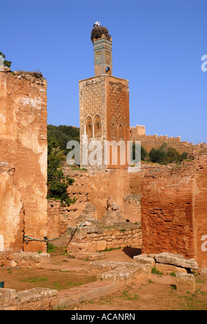 La nécropole de Chellah, la dynastie des Mérinides, Roman-Byzantine ...