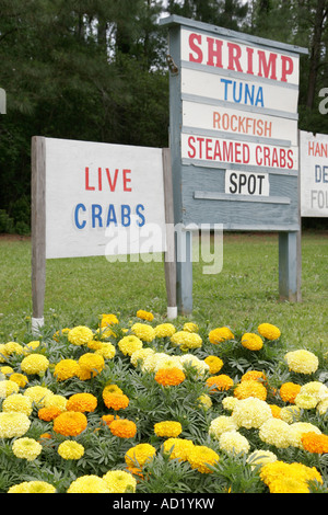 Virginia Beach,Sandbridge Road,Belanga's Seafood and Produce,crevettes ...