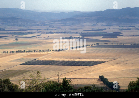 Les champs cultivés dans la plaine de la Mitidja Algérie 2003 Photo ...