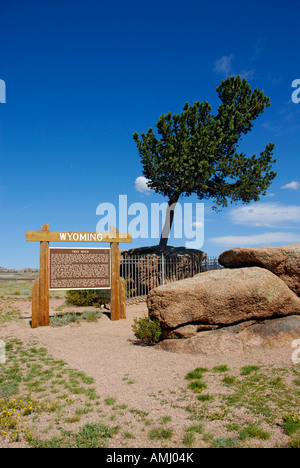 Le célèbre arbre Wyoming Rock où plusieurs centaines d'année vieux pin ...