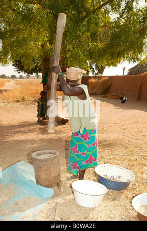 Piler le mil, femme Houssere Faourou, Cameroun, Afrique Photo Stock - Alamy