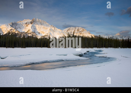 Canada Alberta gamme Sawridge vue sur la rivière Athabasca Parc ...