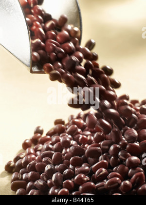 Haricots rouges avec bol à mesurer pour la vente sur le marché. Le ...