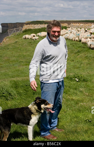 Peter Davies agriculteur biologique avec son chien et un troupeau de ...