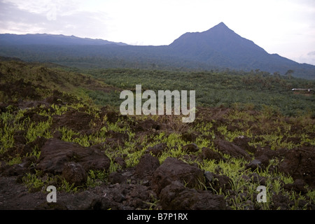 Massif du Mont Cameroun avec des pics de petites ou peu de roches ...