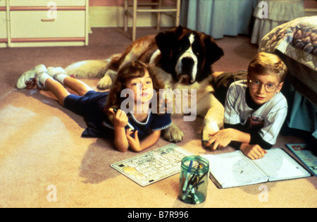 Beethoven's 2e année : 1993 USA Réalisateur : Rod Daniel Charles Grodin, Bonnie Hunt, Nicholle ...