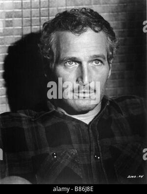 L'Arnaque Année : 1973 USA Paul Newman, Robert Redford Réalisateur ...
