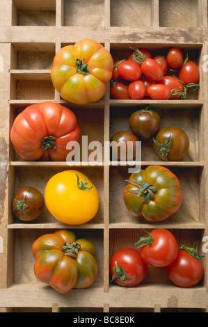 Différents types de tomate Photo Stock - Alamy