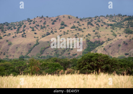 Les paysages de la Réserve de faune à Kabwoya en Ouganda (Afrique) avec ...