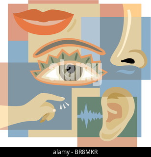 Cinq sens - vue, ouïe, goût, odorat et toucher - icône vecteur isolé ...