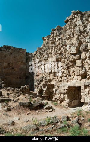 Vestiges romains de la ville antique de Salamine en Chypre du nord ...