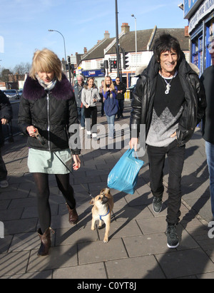 Ekaterina Ivanova et Ronnie Wood prendre leur chien avec avec eux pour ...