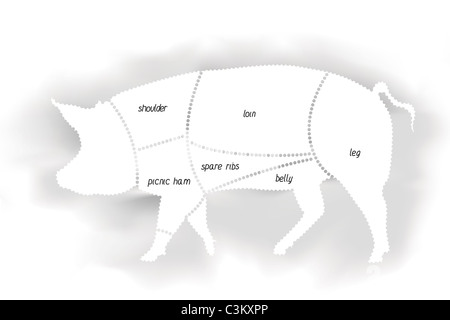 Schéma électrique de coupes de porc Photo Stock - Alamy