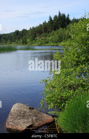 Stroan Loch dans le Parc Forestier de Galloway Dumfries et Galloway ...