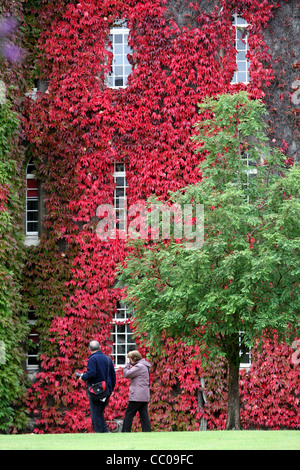La VIGNE À ST JOHN'S COLLEGE DE CAMBRIDGE QUI EST DEVENU ROUGE À TEMPS ...