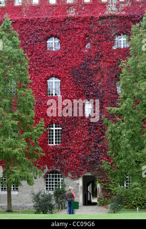 La VIGNE À ST JOHN'S COLLEGE DE CAMBRIDGE QUI EST DEVENU ROUGE À TEMPS ...