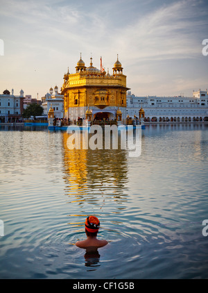 Un Sikh prend un bain dans l'Amrit Sarovar, la piscine qui entoure le ...