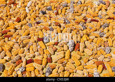 Pérou Cuzco province vallée sacrée des Incas site archéologique inca du ...