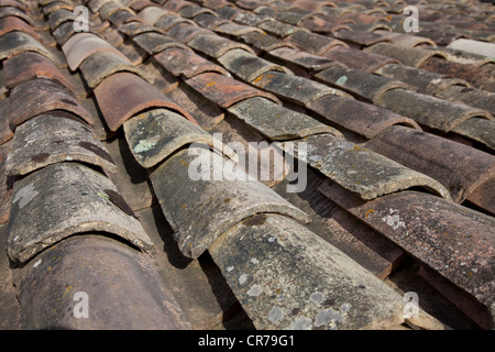 Tuiles de toiture traditionnelle provençale. La texture de fond Photo ...