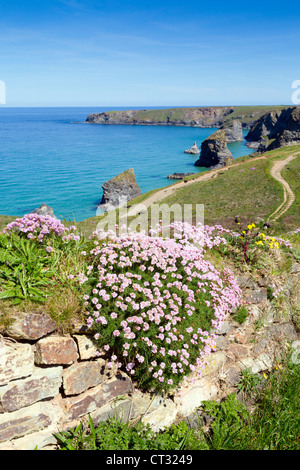 Vue côtière à Bedruthan marches Cornwall avec une clôture en bois se ...