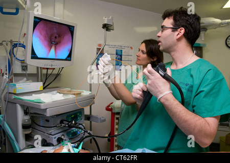 Biopsie de l'estomac, l'ENDOSCOPIE Photo Stock - Alamy