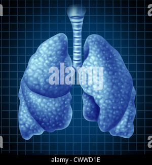 Système respiratoire humain poumons Anatomy animation concept. Poumon ...