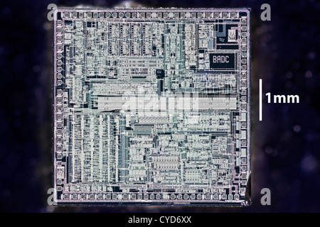 Puce de silicium, circuits intégrés, à partir d'un disque dur MOURIR ...