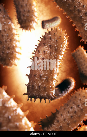 Les cellules du virus de la rage stylisée - la cause de l'encéphalite ...