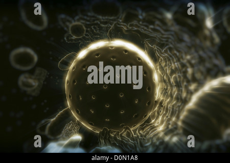 Schéma montrant le fonctionnement interne d'une cellule humaine Photo ...