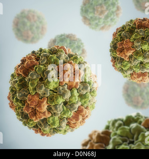 Structure du virus de la mosaïque du concombre (CMV) (PDB 1F15) famille ...
