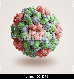 Structure du virus de la mosaïque du concombre (CMV) (PDB 1F15) famille ...