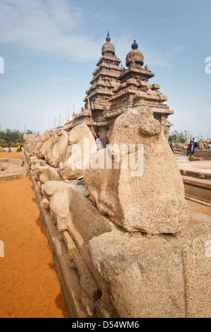 Shore temple avec nandi dans Mahabalipuram près de Chennai, Madras ...