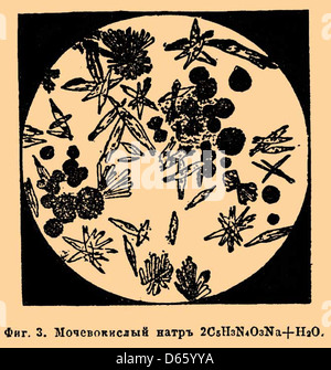 Cette illustration du dictionnaire encyclopédique Brockhaus et Efron ...