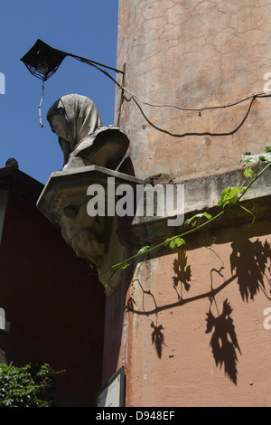 Vine arbre qui pousse dans Trastevere Rome Italie Photo Stock - Alamy