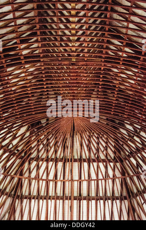 Détails de toiture à l'intérieur de la Basilique Saint-Pierre, Vatican ...
