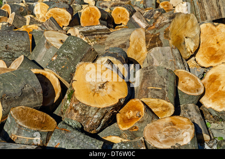 Le cut et haché le bois sont empilées en tas Photo Stock - Alamy