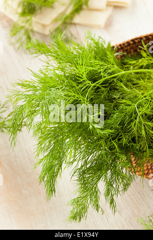 Légume vert-aneth, légumes de saison d'hiver crus spéciaux, fougères ...