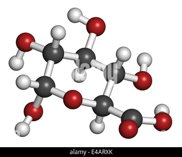 Molécule d'acide glucuronique. La glucuronoconjugaison des ...