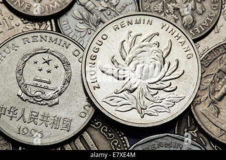 Coins de la Chine. Fleur de chrysanthème représenté dans la Chinoise ...