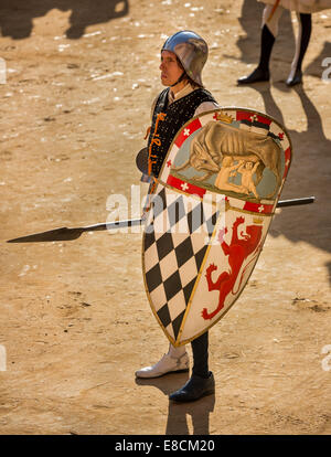 Les chevaliers médiévaux en armure et casques se battent avec l'épée et ...