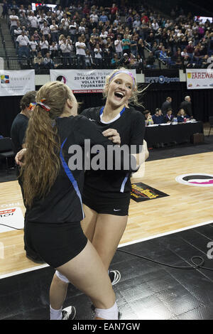 Cedar Rapids, Iowa, USA. 14Th Nov, 2014. Dyke-New Hartford's Lizzy ...
