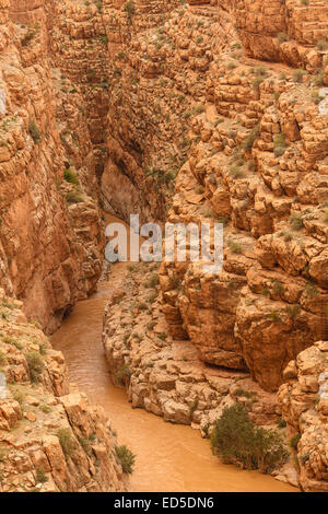 Chariot. Les gorges du Dadès. Près des Gorges du TODRA. Le Maroc. L ...