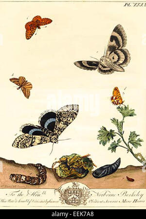 Moses Harris était un entomologiste et artiste anglais surtout connu ...